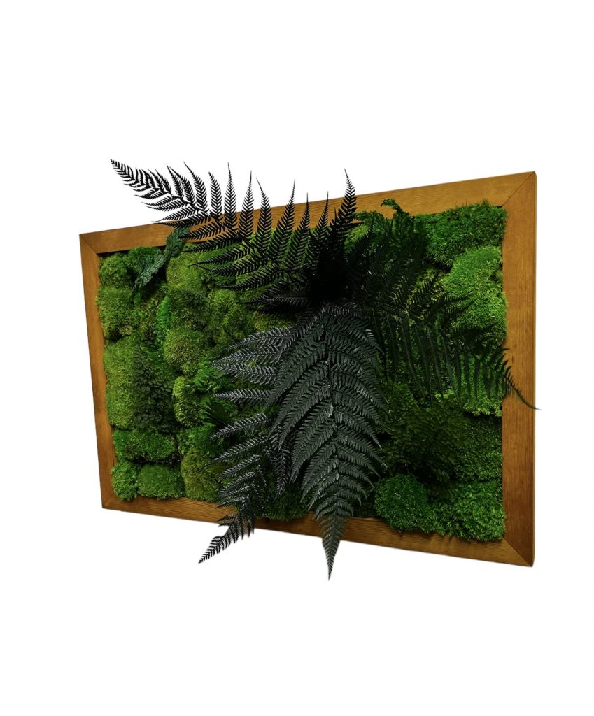 Machovy Obraz s guľatým machom a rastlinami - Ekomoss