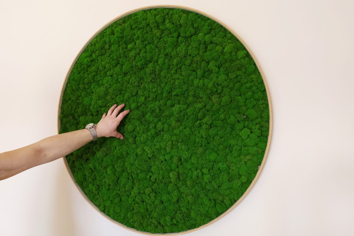 Okrúhly Machovy Obráz s Lišajníkom a Podsvietenie - Ekomoss